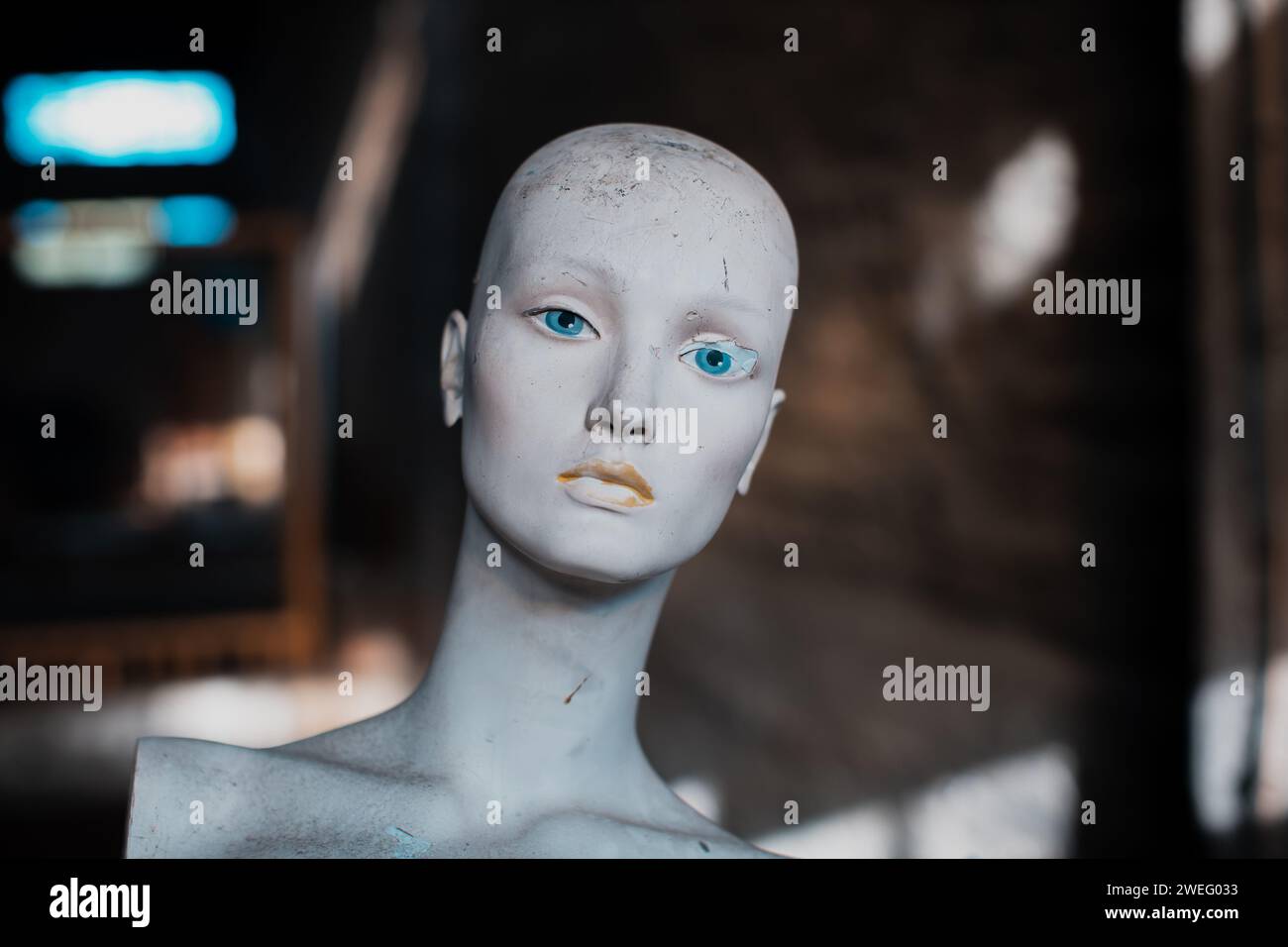 old female display mannequin portrait Stock Photo - Alamy