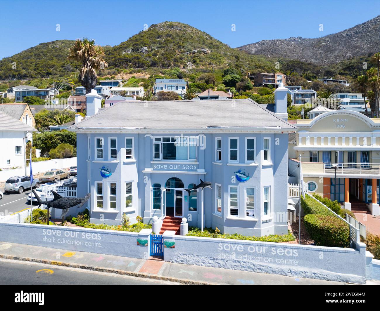 Save our seas foundation shark education centre hi-res stock ...