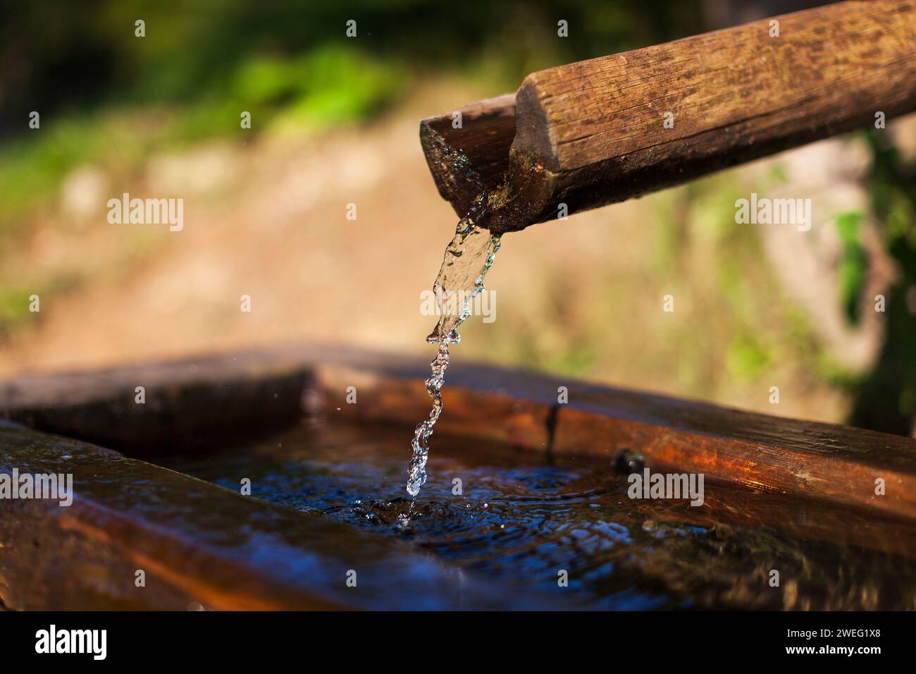 Spring of Water from Mountain Stream Slovenia Stock Photo - Alamy