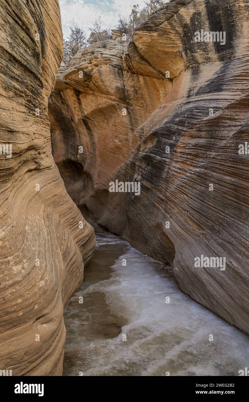 Scenic Willise Creek Slot Canyon in the Grand Staircase Escalante ...