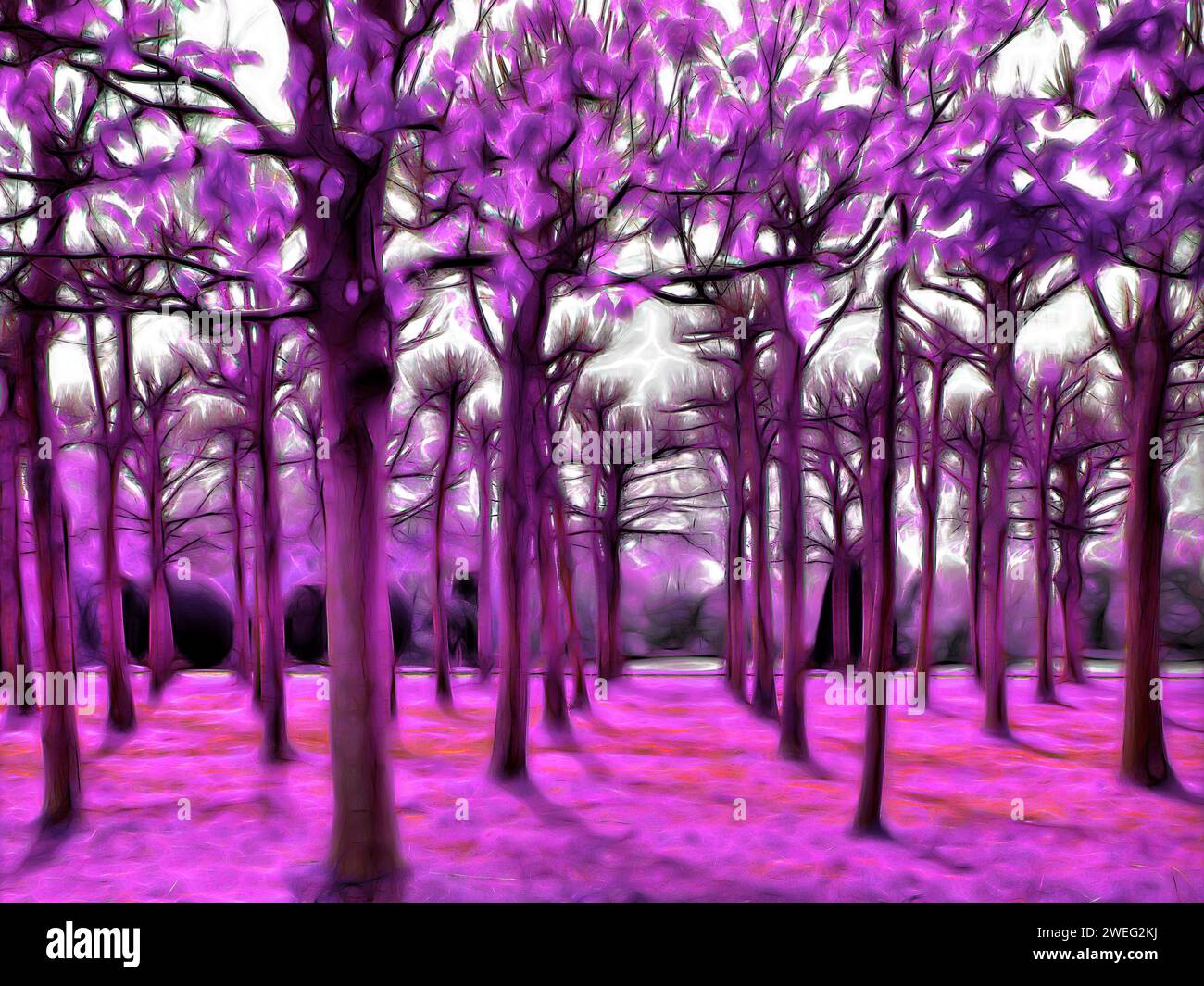 Woodland impression hi-res stock photography and images - Alamy