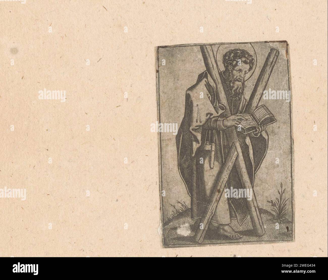 Saint Andreas, Anonymous, 1500 - 1599 print The standing apostle ...