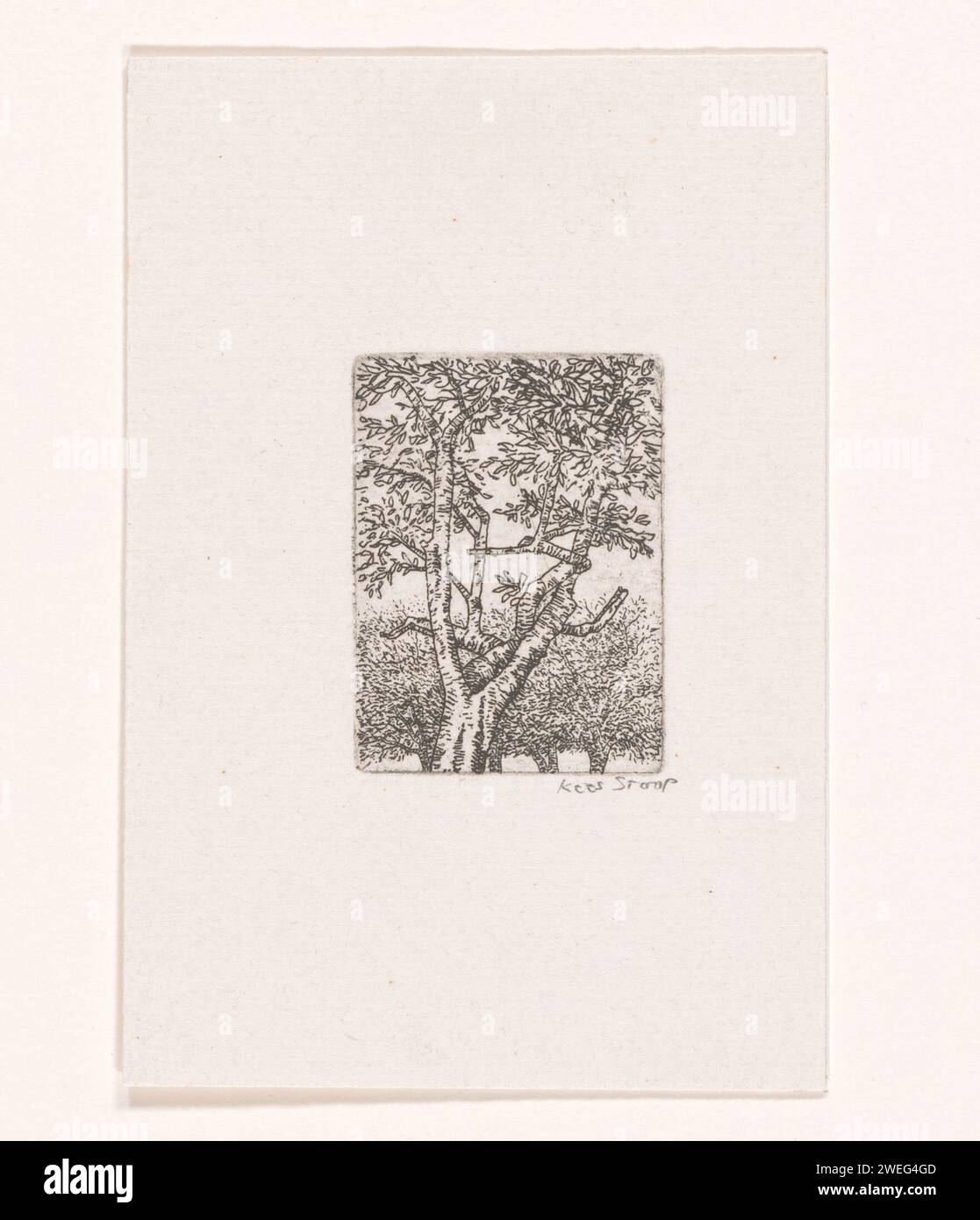 Print boom hi-res stock photography and images - Alamy