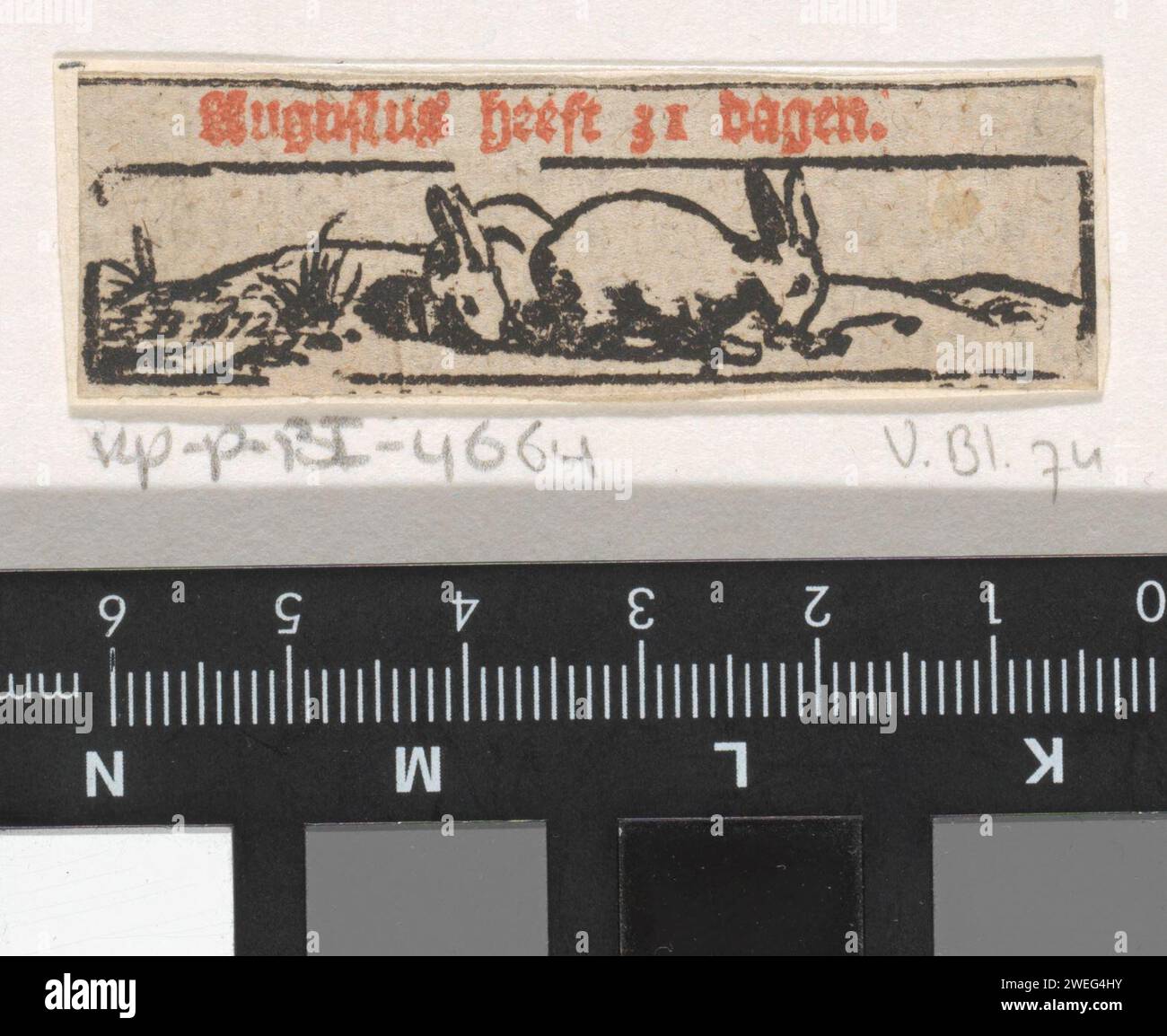 Augustus, Dirck De Bray, 1672 print Two rabbits. In the upper margin a ...