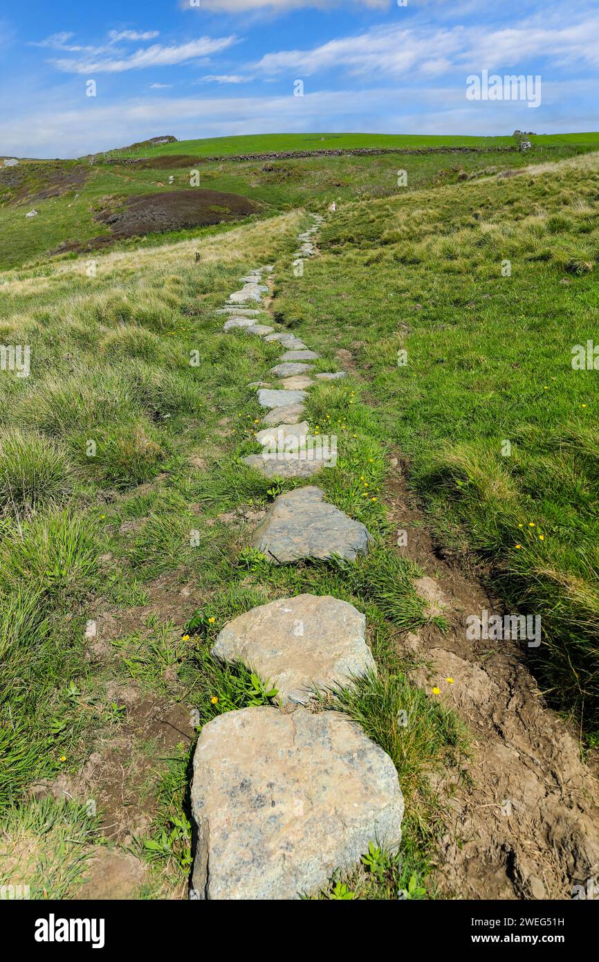 Stepping stones over a boggy section of the South West Coast Path, near ...