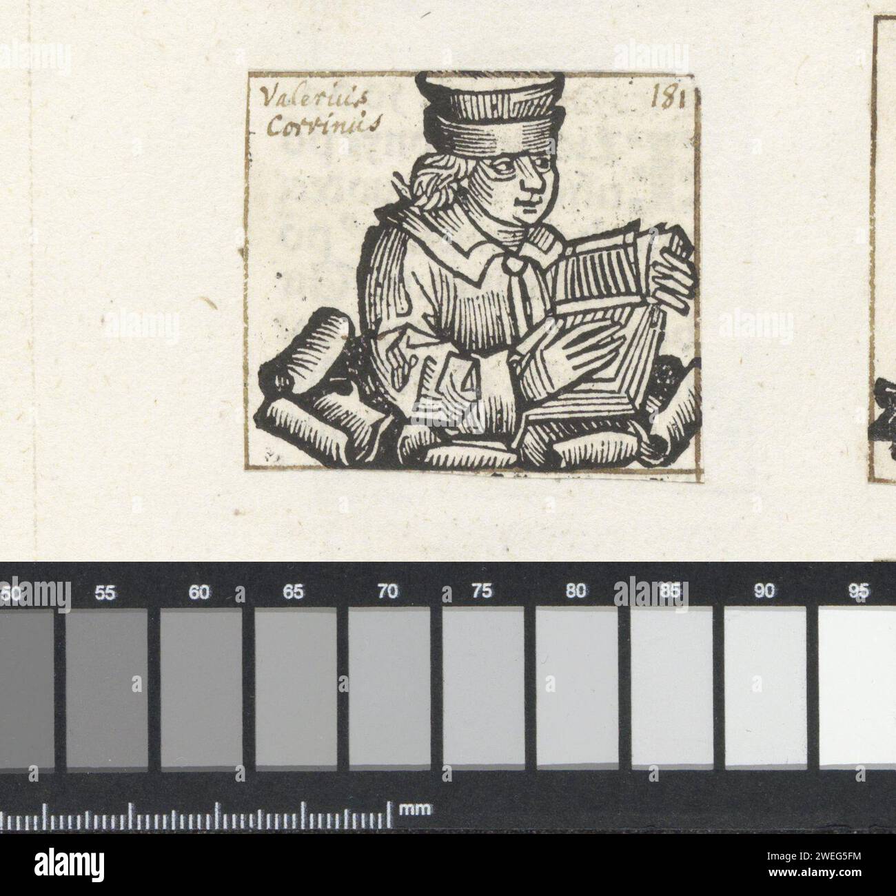 Marcus Valerius, Michel Wolgemut (workshop of), 1493 print A flower ...