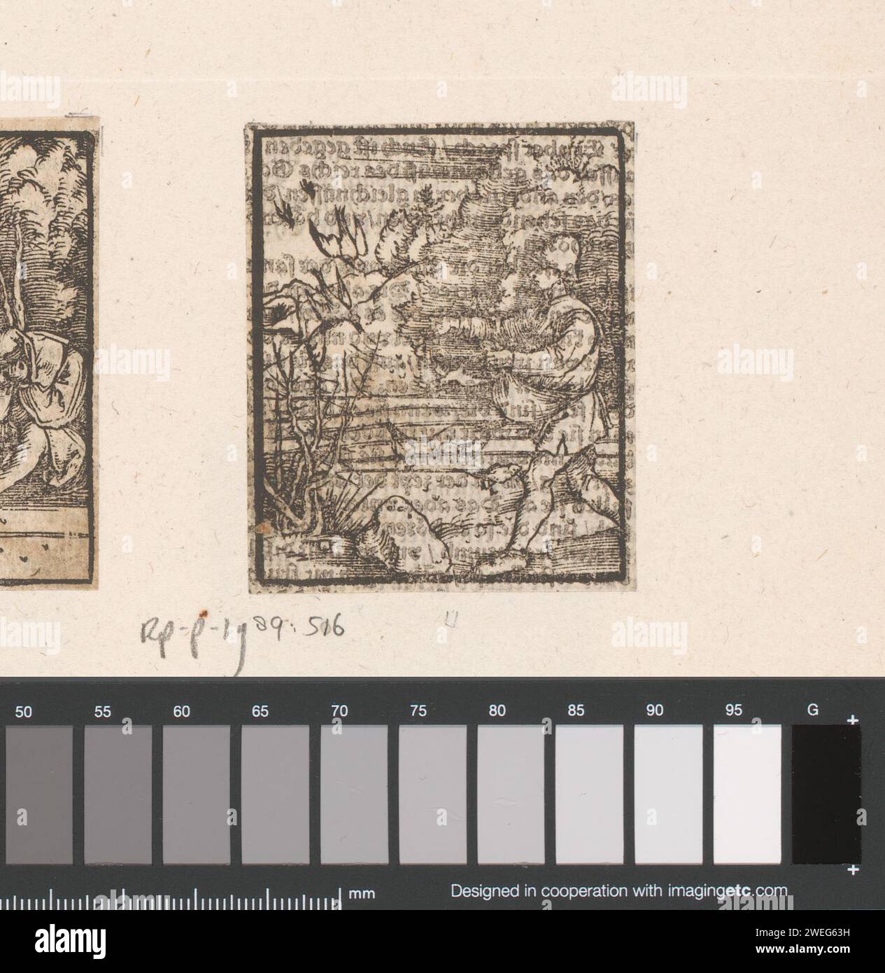 Parable of the sower, anonymous, anonymous, 1536 print paper the sower ...