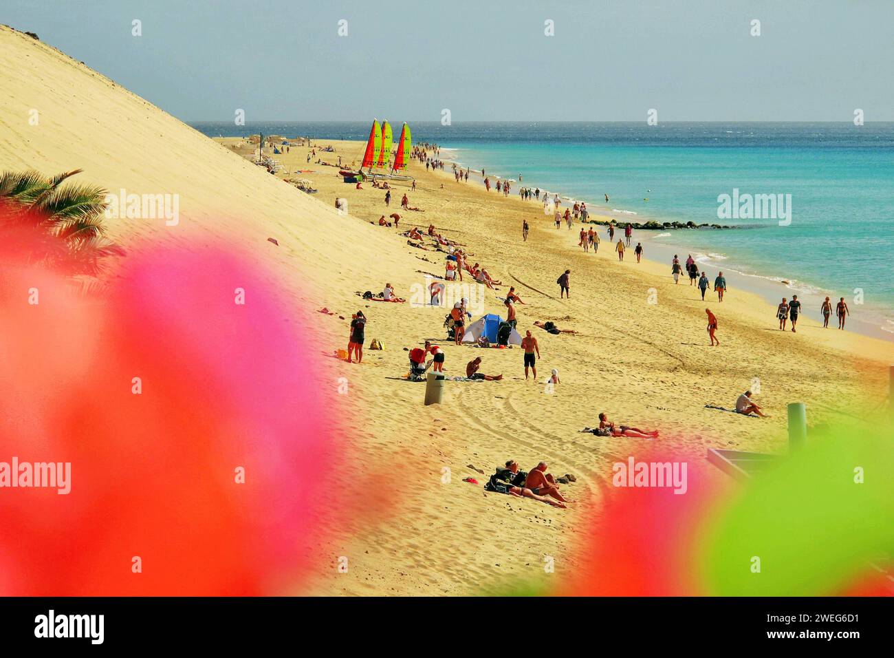 Der Strand von Jandia auf Fuerteventura Süd am 17.01.2012. *** The ...