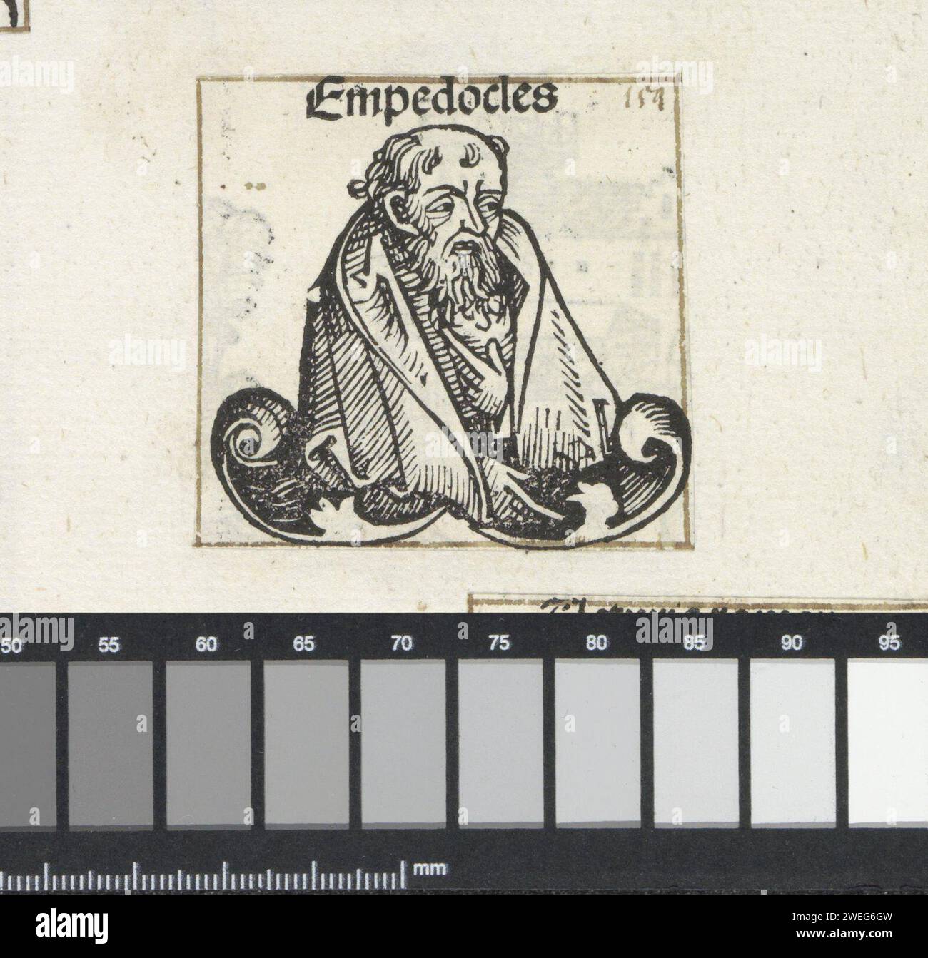 Empedocles, Michel Wolgemut (workshop of), 1493 print A flower chalice ...