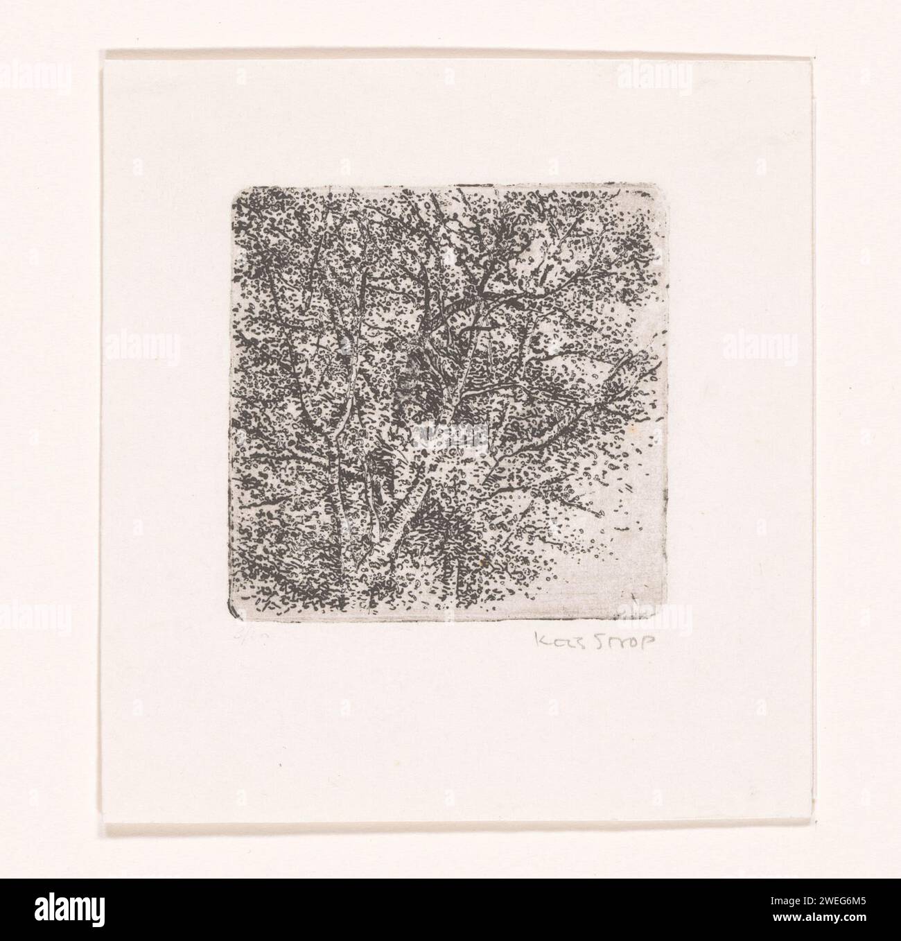 Tree crowns, Kees Stoop, 1944 - c. 1990 print Boom series. paper ...