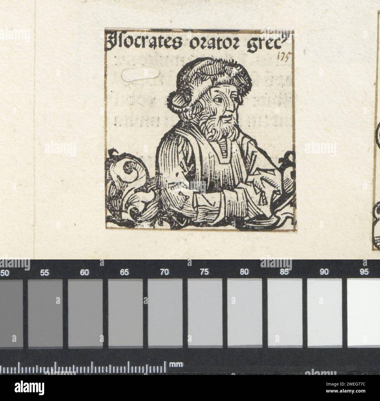 Isocrates, Michel Wolgemut (workshop of), 1493 print A flower chalice ...