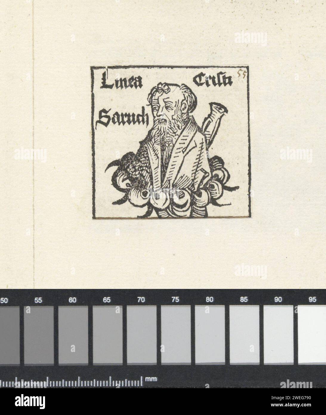 Serug, Michel Wolgemut (workshop of), 1493 print A flower chalice with ...