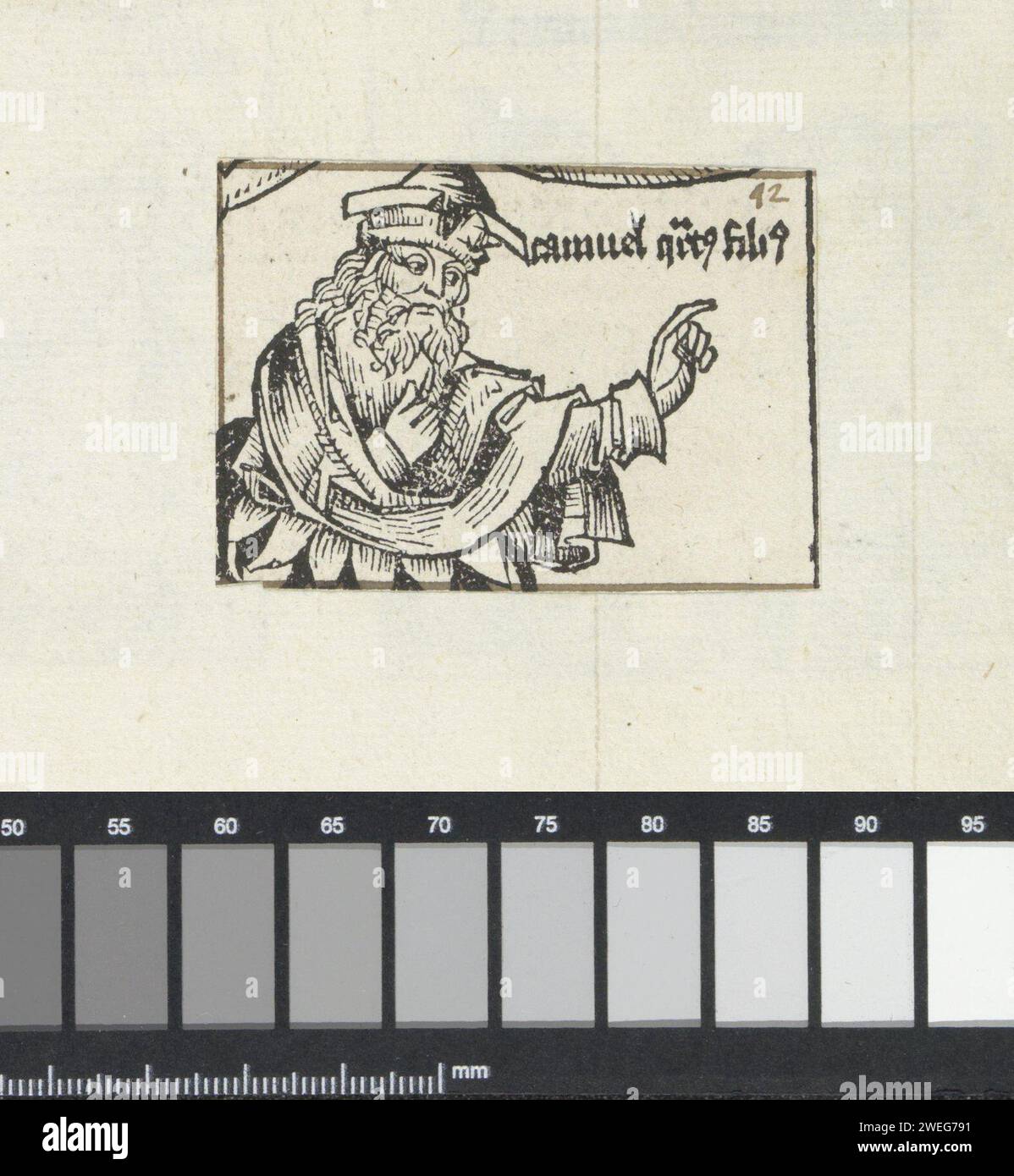 Kemuel, Michel Wolgemut (workshop of), 1493 print A flower chalice with ...