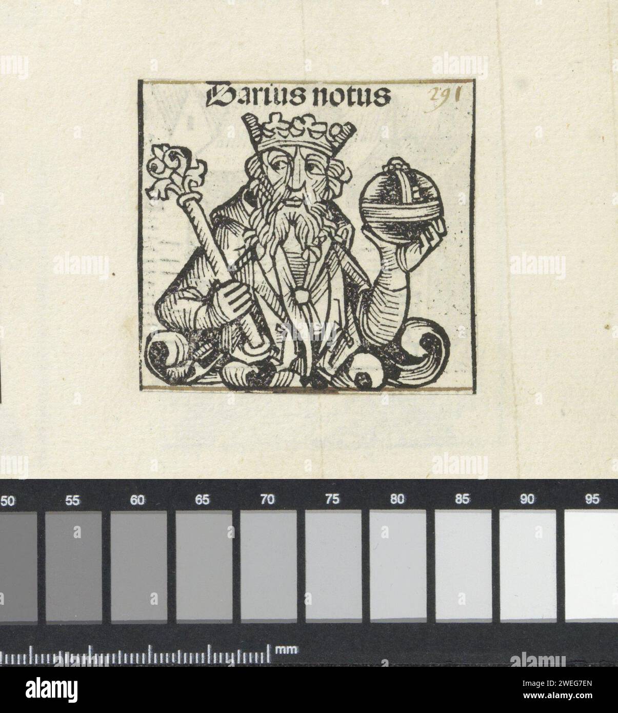 Koning Darius II, Michel Wolgemut (workshop of), 1493 print A flower ...