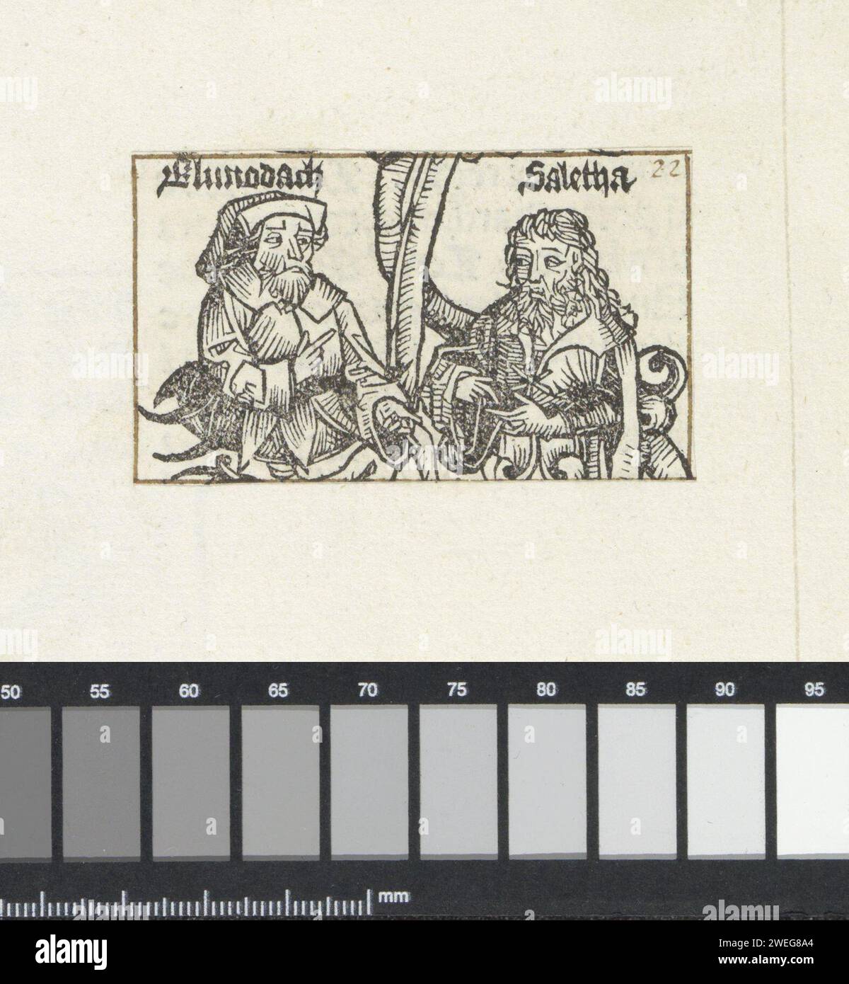 Selef hi-res stock photography and images - Alamy