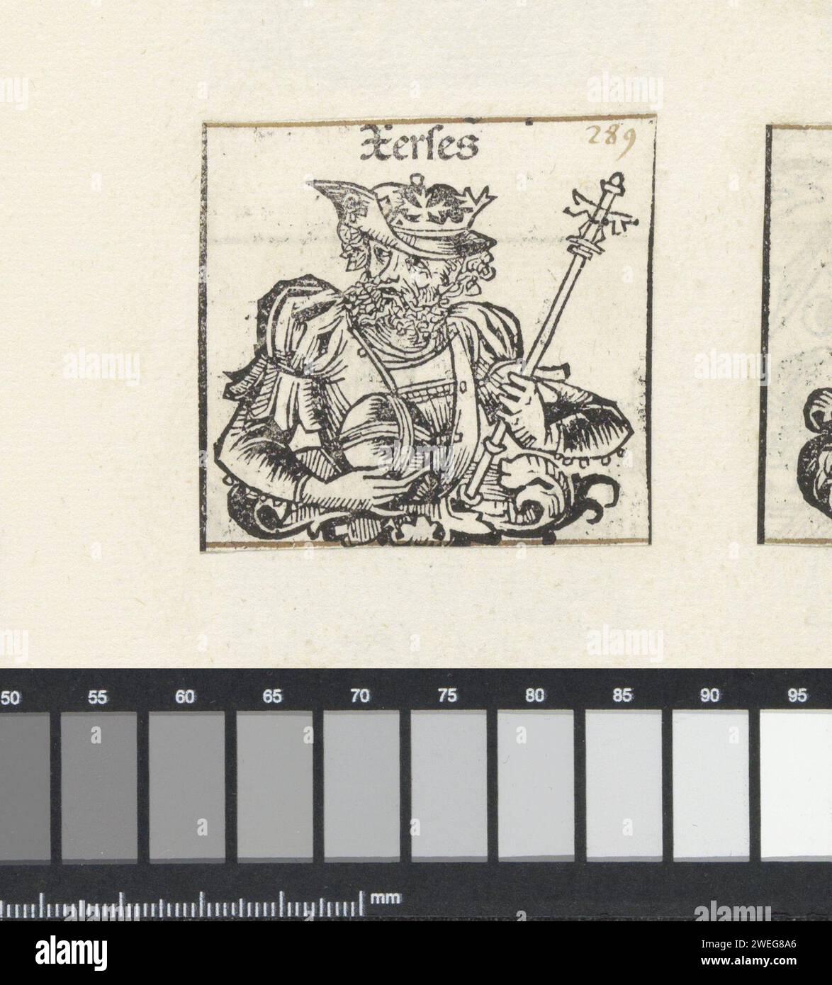 Koning Xerxes II, Michel Wolgemut (workshop of), 1493 print A flower ...