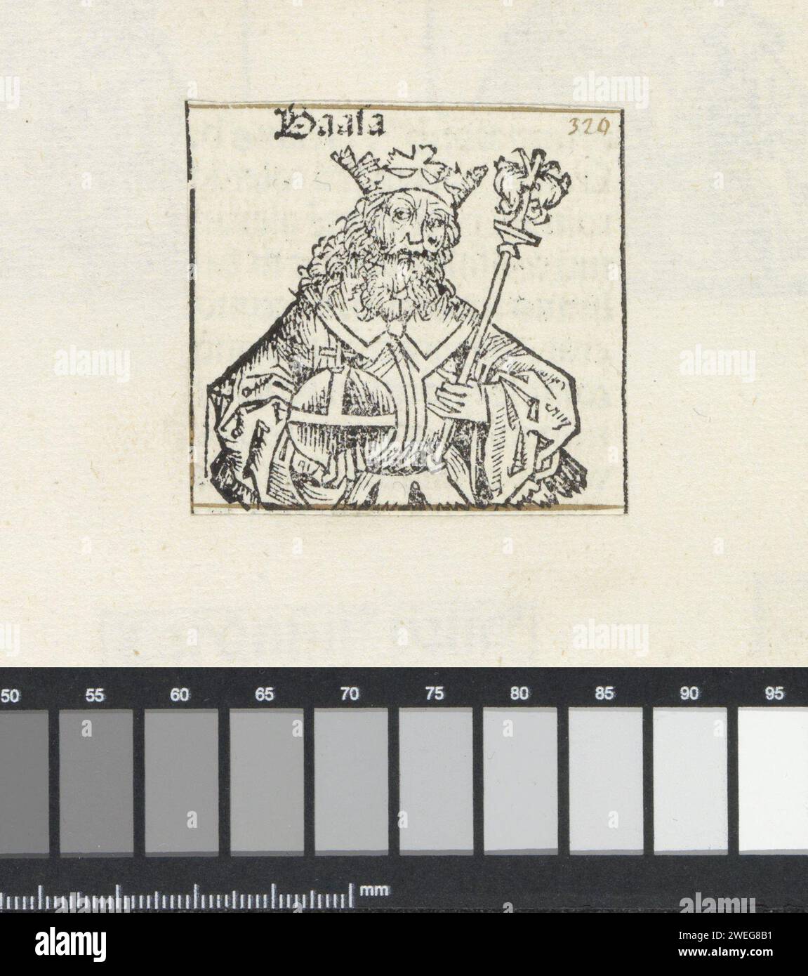 Base, Michel Wolgemut (Workshop of), 1493 print A flower challenge with ...