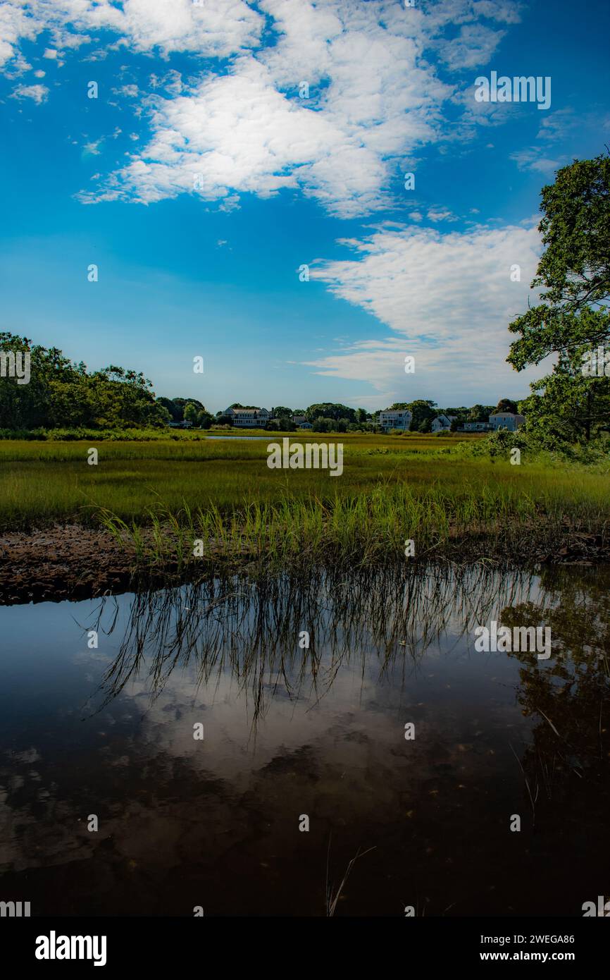 Marsh grass cape cod hi-res stock photography and images - Alamy