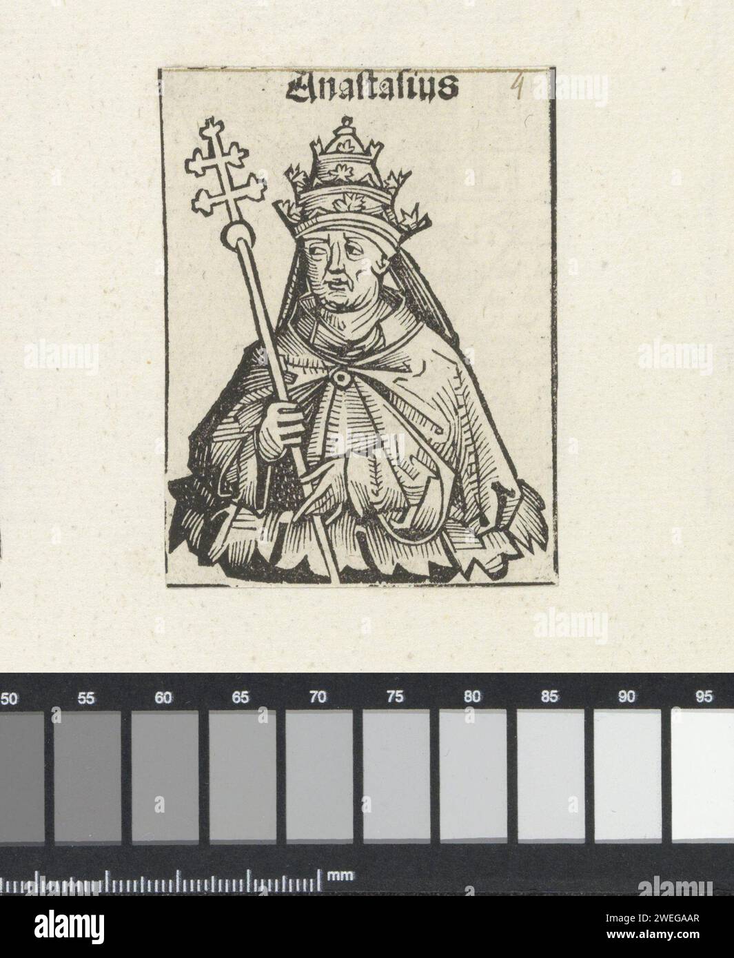 Pope Anastasius II, Michel Wolgemut (Workshop of), 1493 print A flower ...