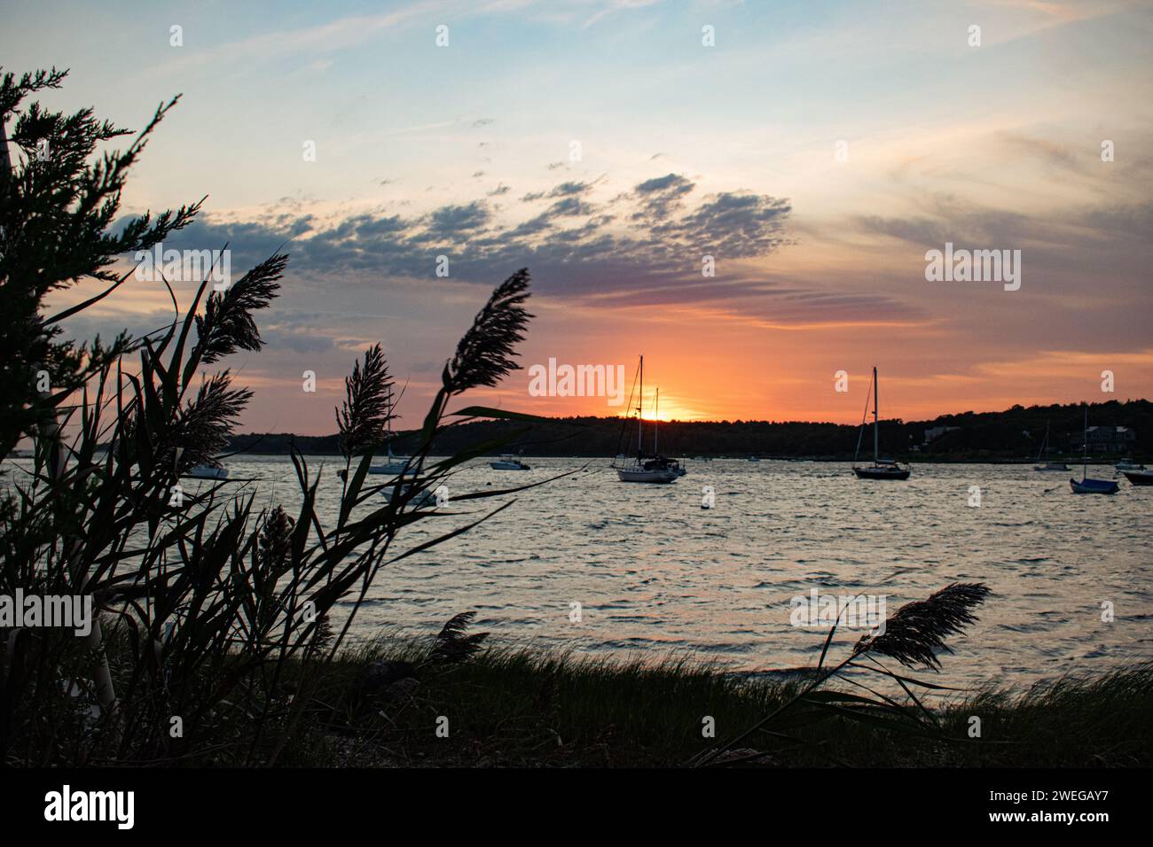 Bassets island hi-res stock photography and images - Alamy