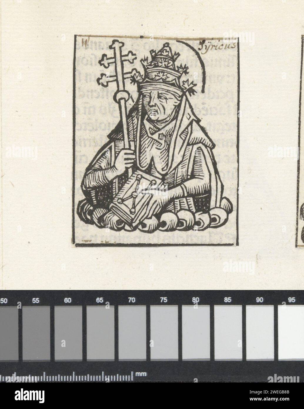 Paus Siricius, Michel Wolgemut (workshop of), 1493 print A flower ...