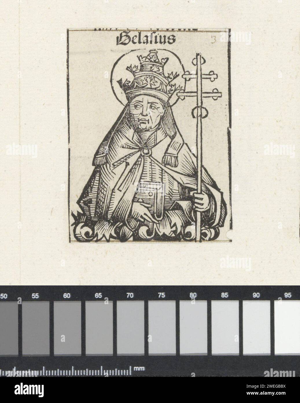 Pope Gelasius I, Michel Wolgemut (Workshop of), 1493 print A flower ...