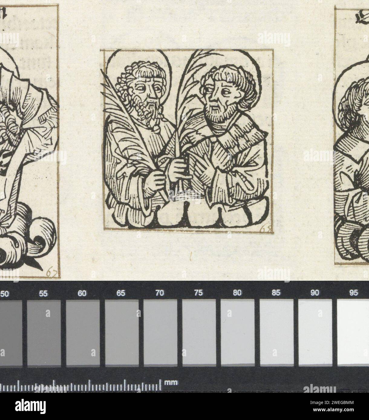 Felix en Fortunatus, Michel Wolgemut (workshop of), 1493 print A flower ...
