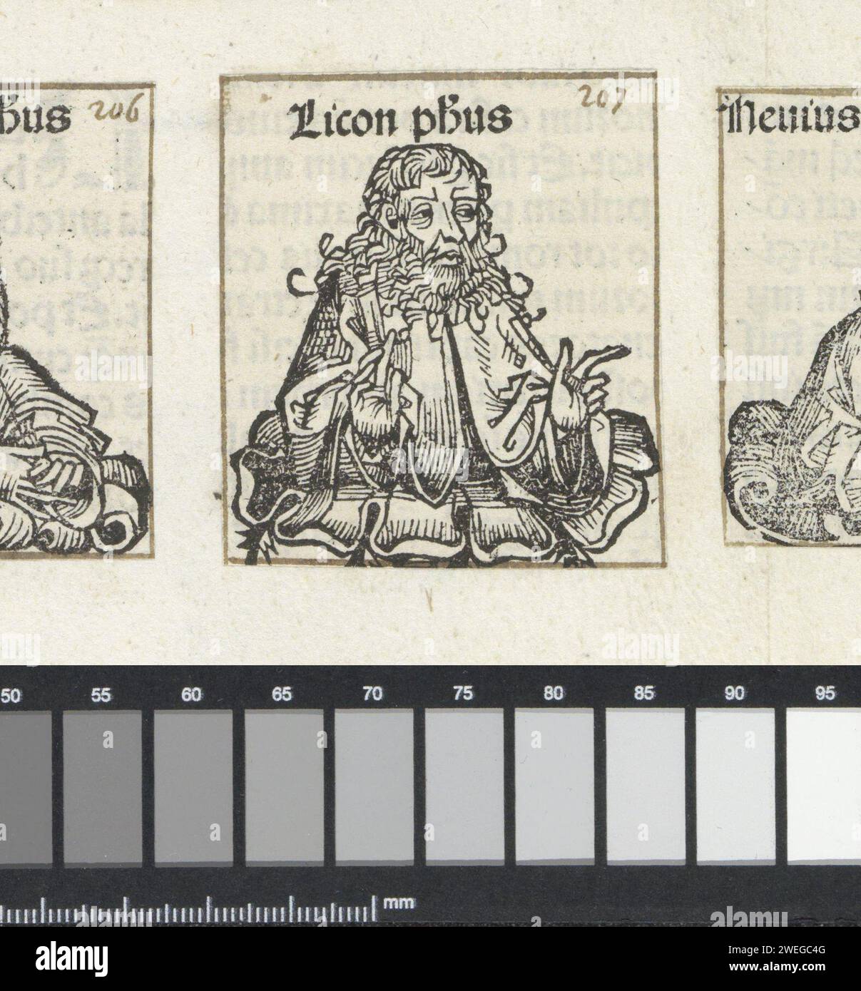 Lyco van Troas, Michel Wolgemut (workshop of), 1493 print A flower ...