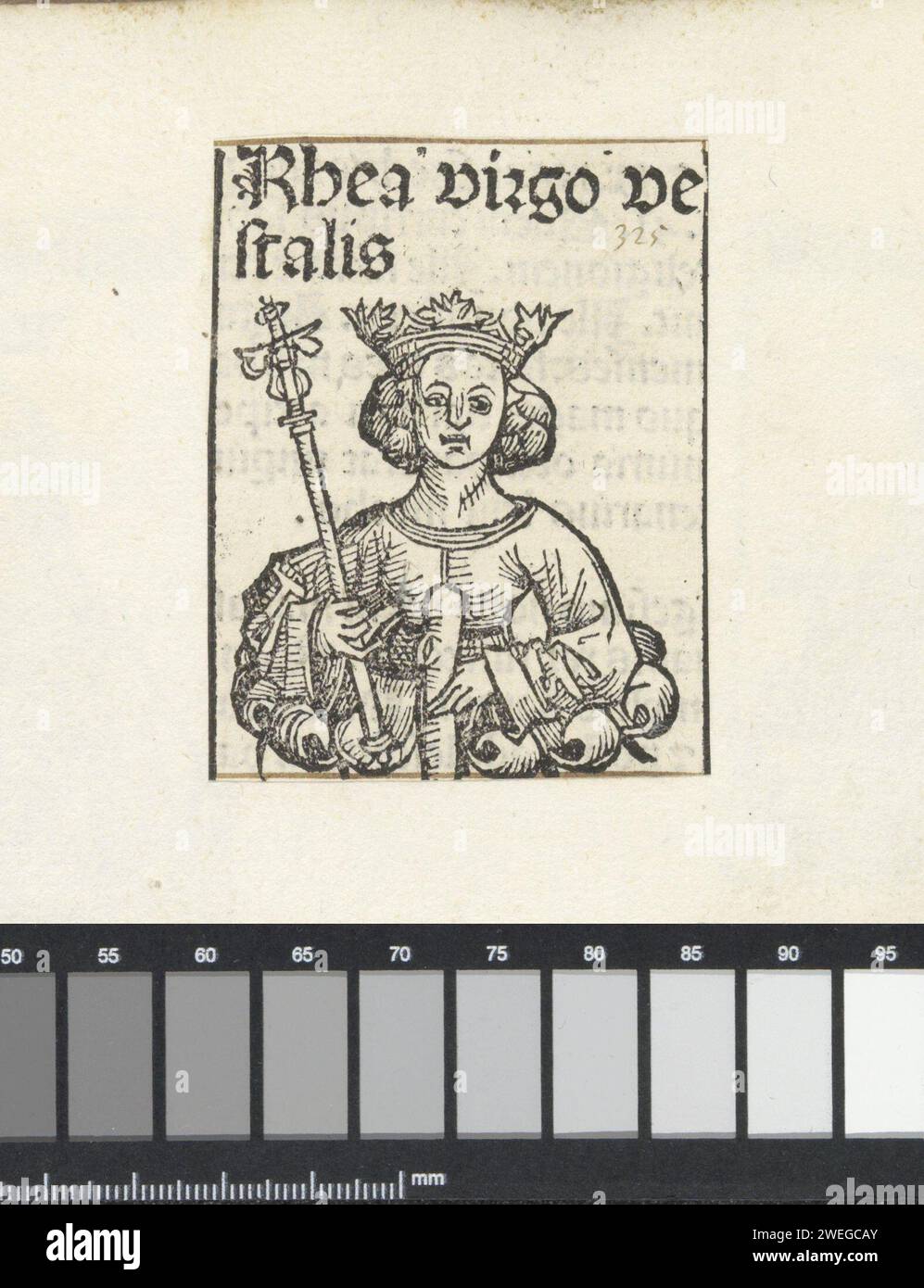 Rhea Silvia, Michel Wolgemut (workshop of), 1493 print A flower ...