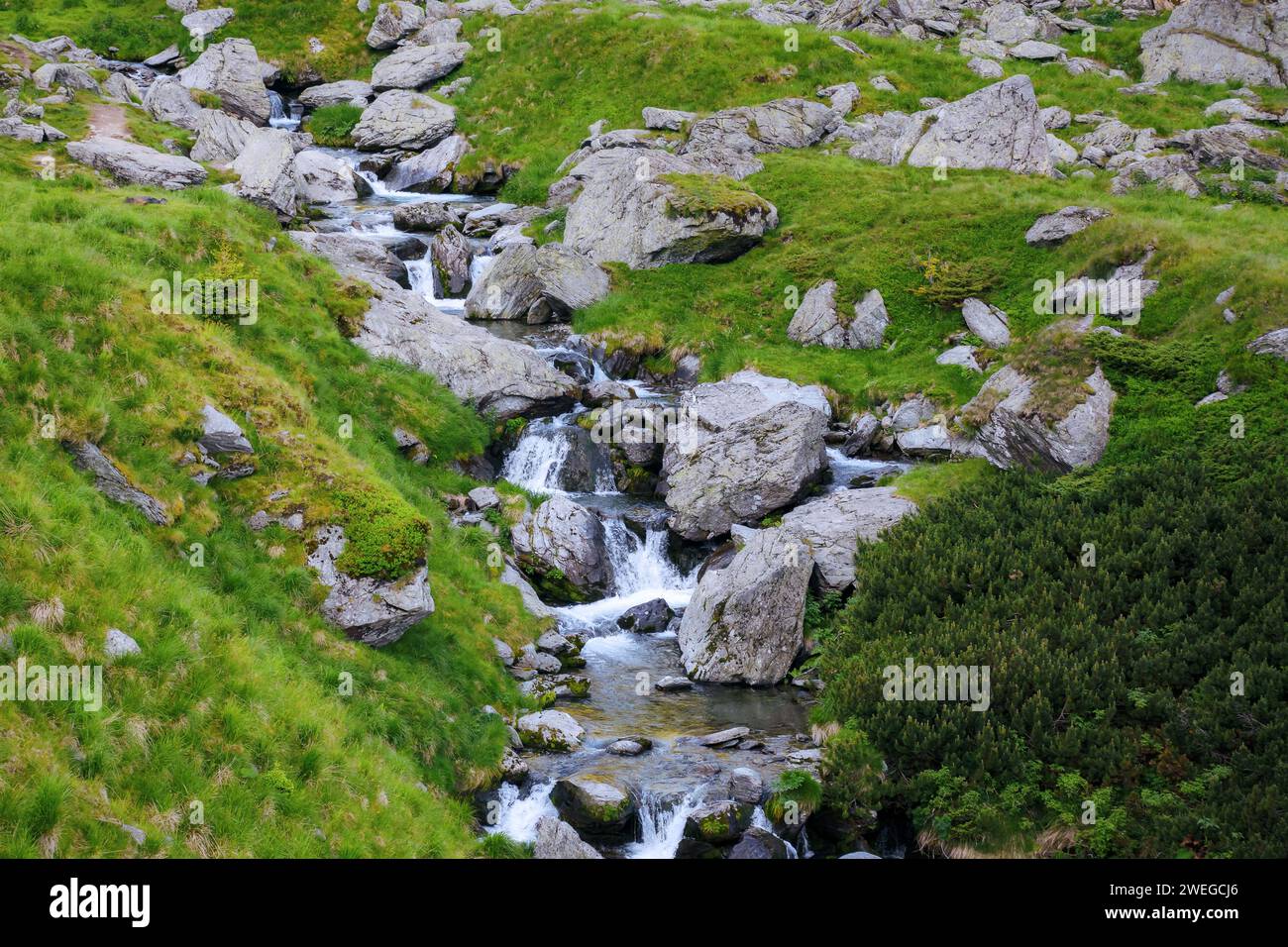 rapid balea water stream among stones and boulders on the hills of ...