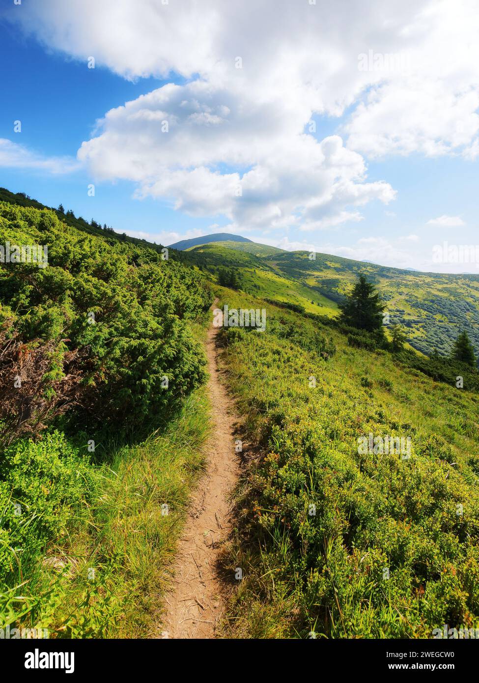 trail through hillside of petros mountain in summer. popular travel ...