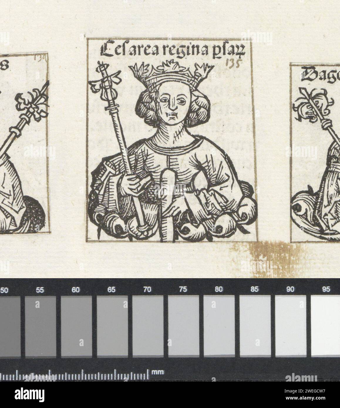 Koningin Caesara, Michel Wolgemut (Workshop of), 1493 print A flower ...