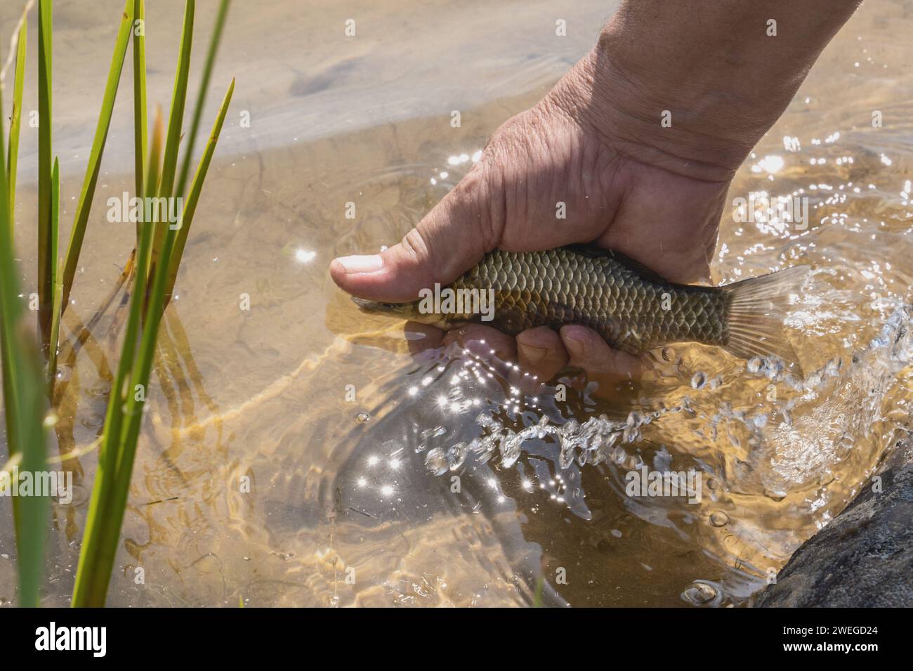 Fish hook in finger hi-res stock photography and images - Alamy