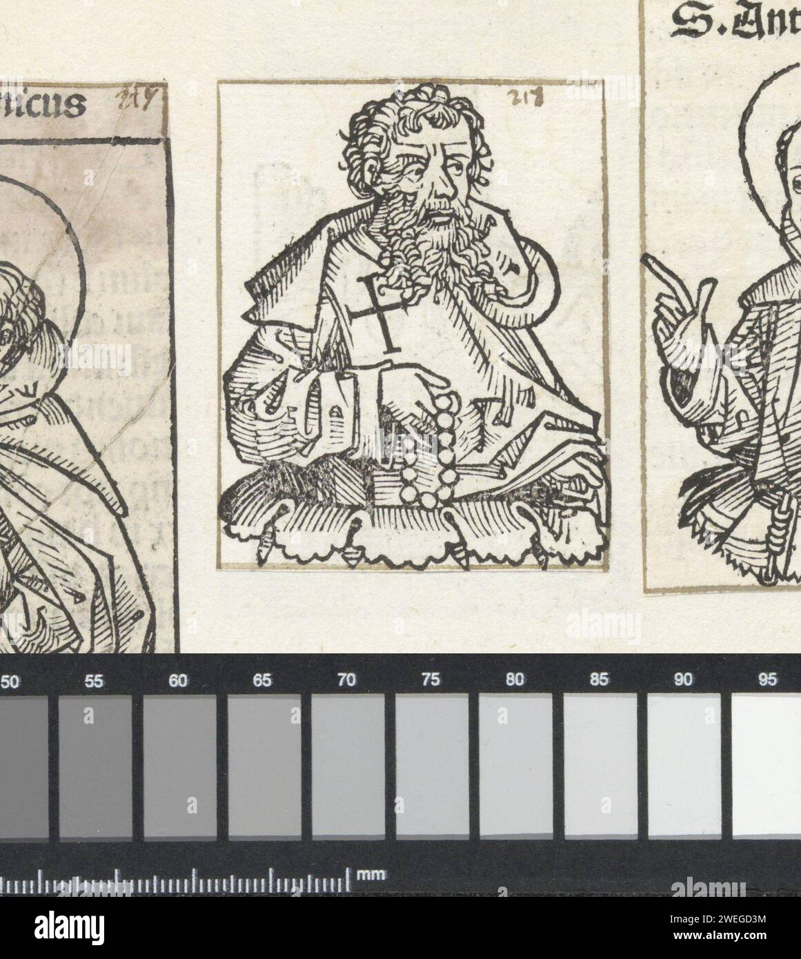 Knight of the German Order, Michel Wolgemut (workshop of), 1493 print A ...