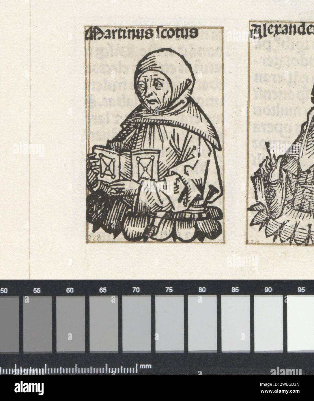 Martinus Scotus, Michel Wolgemut (workshop of), 1493 print A flower ...