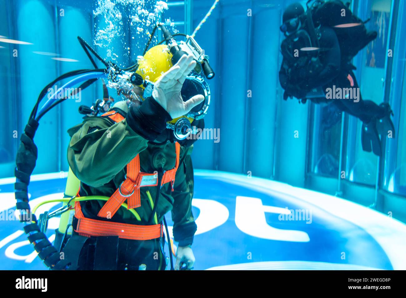 Federal Navy mine divers present themselves in the diving tank in the ...