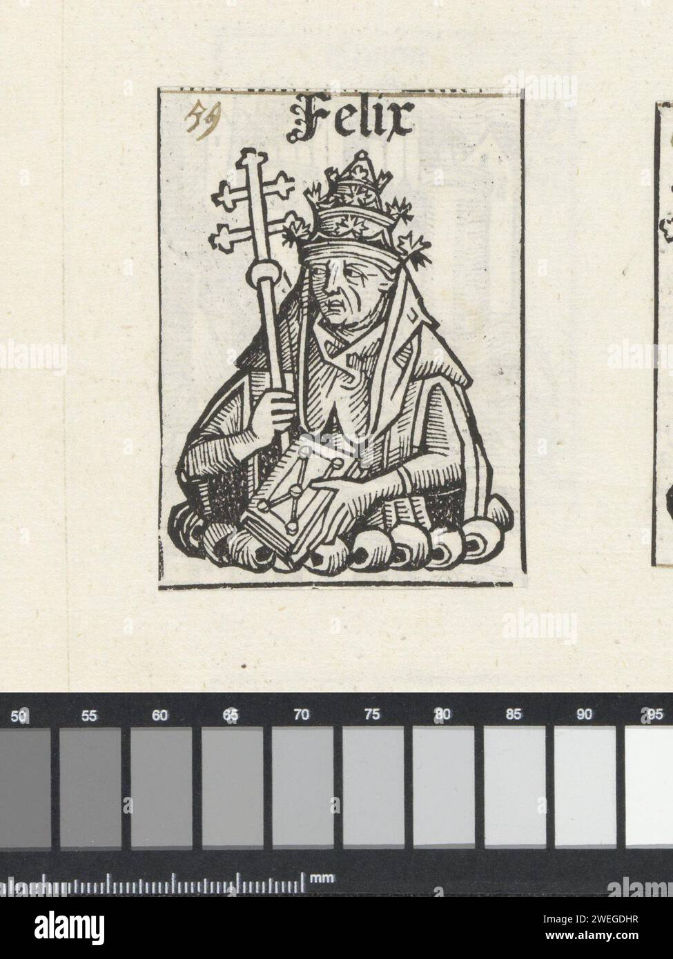 Paus Felix III, Michel Wolgemut (workshop of), 1493 print A flower ...