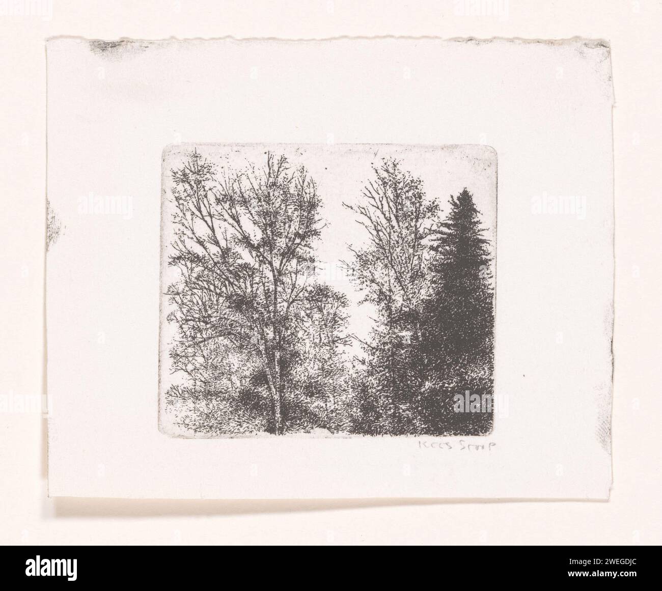 Tree tops, Kees Stoop, 1944 - c. 1990 print Tree tops of deciduous ...