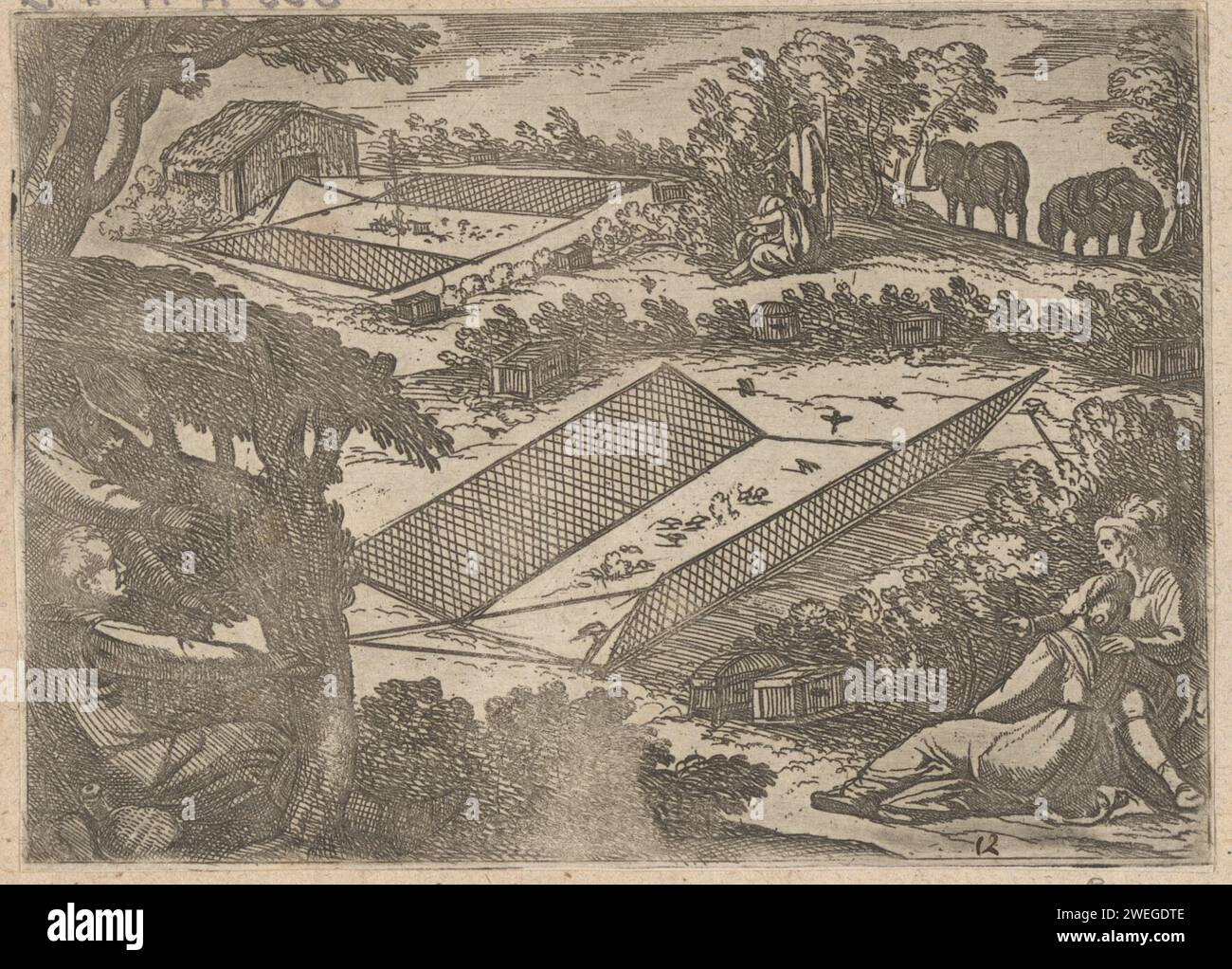 Two large bird traps hi-res stock photography and images - Alamy