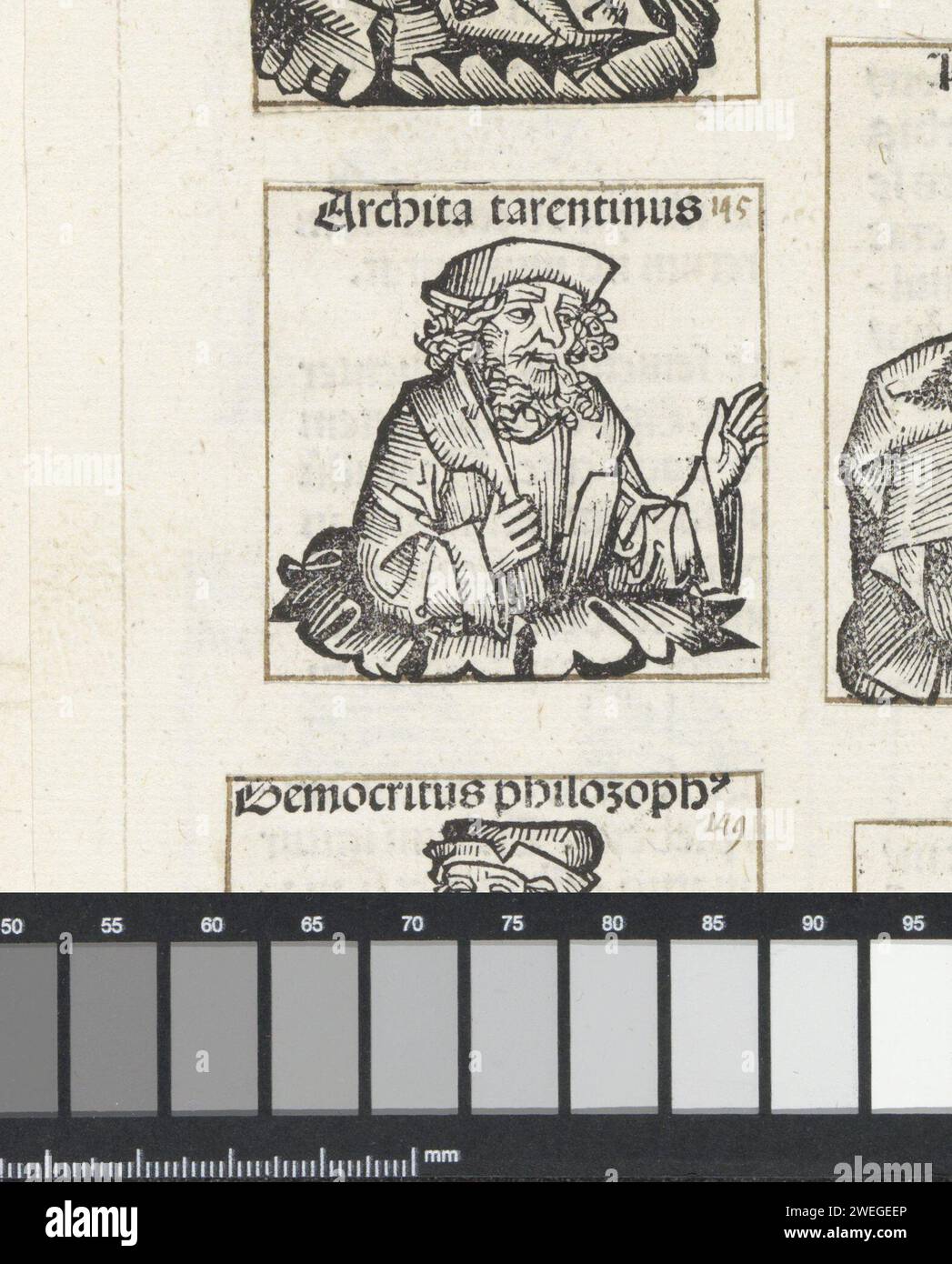 Archytas, Michel Wolgemut (workshop of), 1493 print A flower chalice ...