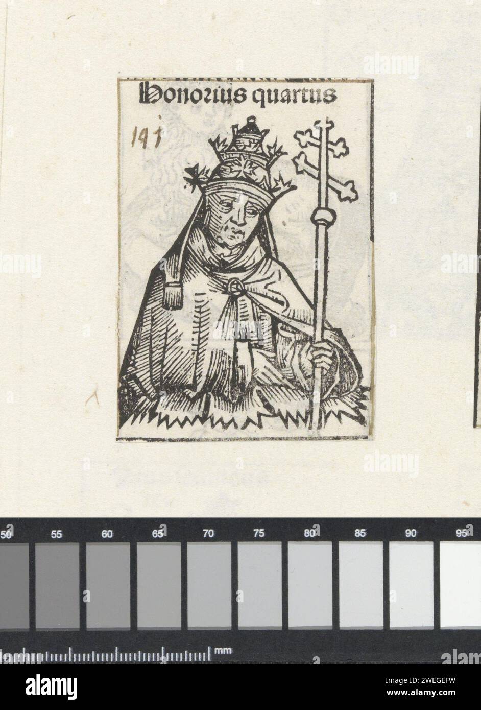 Paus Honorius IV, Michel Wolgemut (workshop of), 1493 print A flower ...