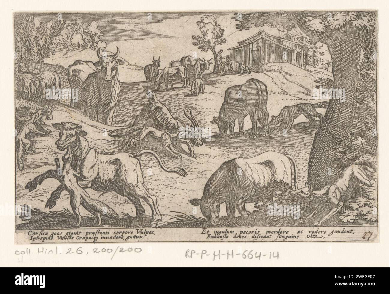 Foxes attack farm animals, Antonio Tempesta, 1605 print On the land of ...