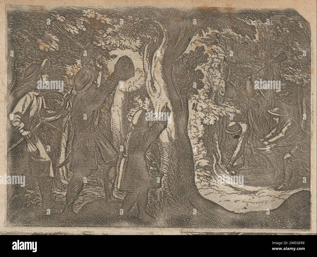 Nets try hi-res stock photography and images - Alamy