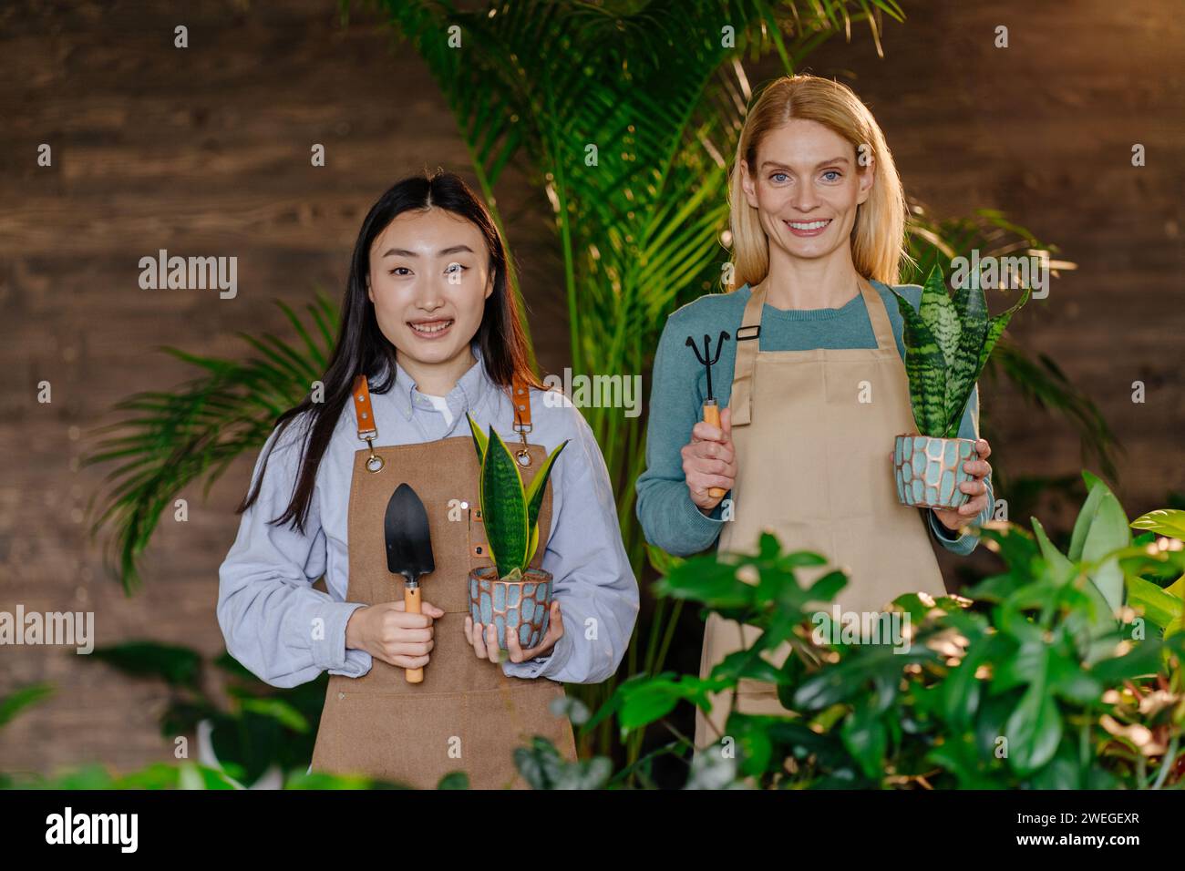 Horticultural proficiency hi-res stock photography and images - Alamy