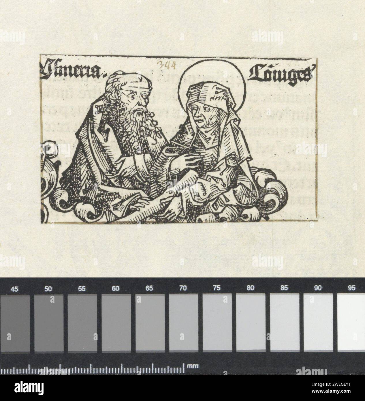 Know en haar man, Michel Wolkemut (Workshop of), 1493 print A flower ...