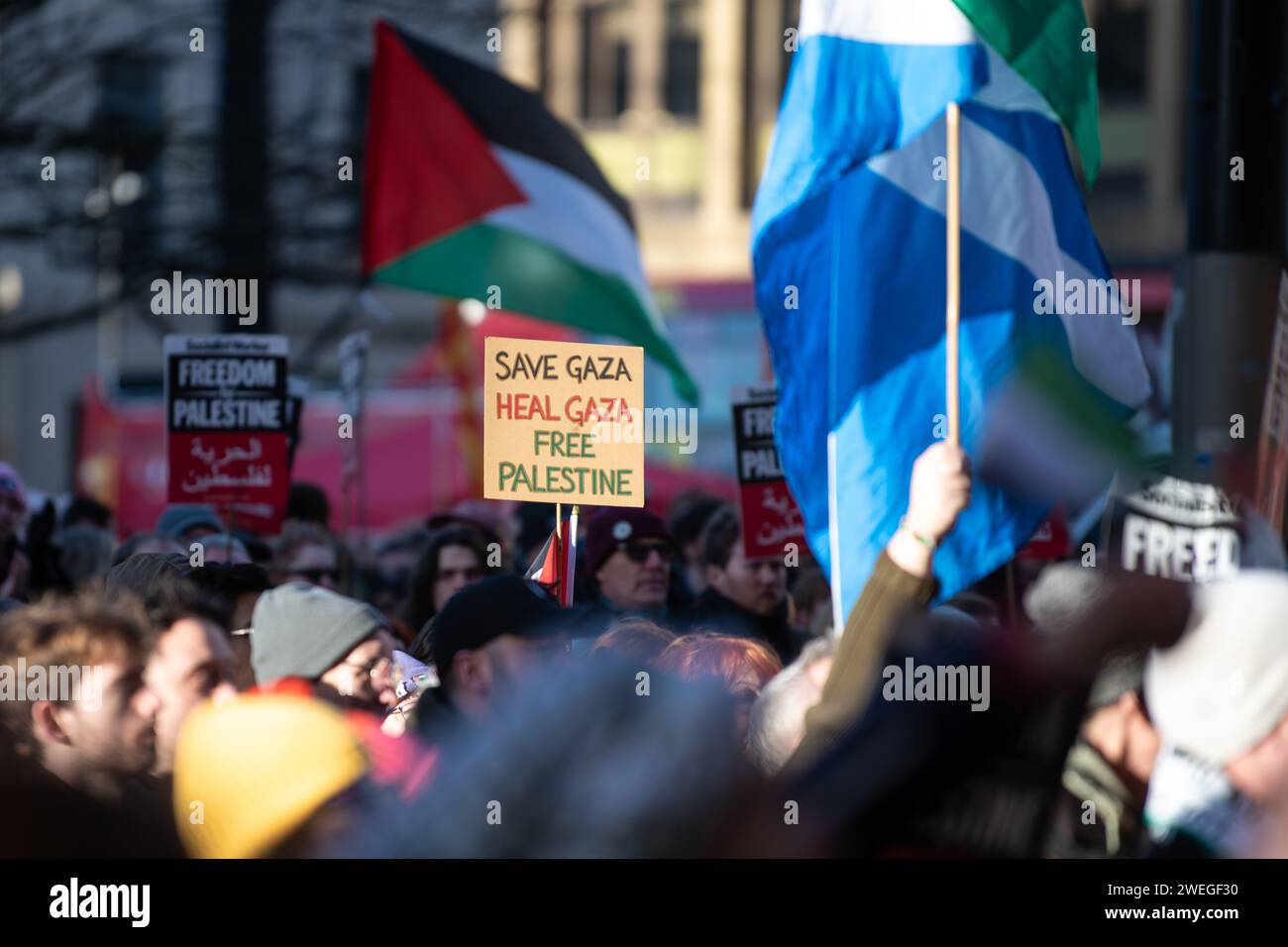 Save gaza heal gaza free palestine placard hi-res stock photography and ...