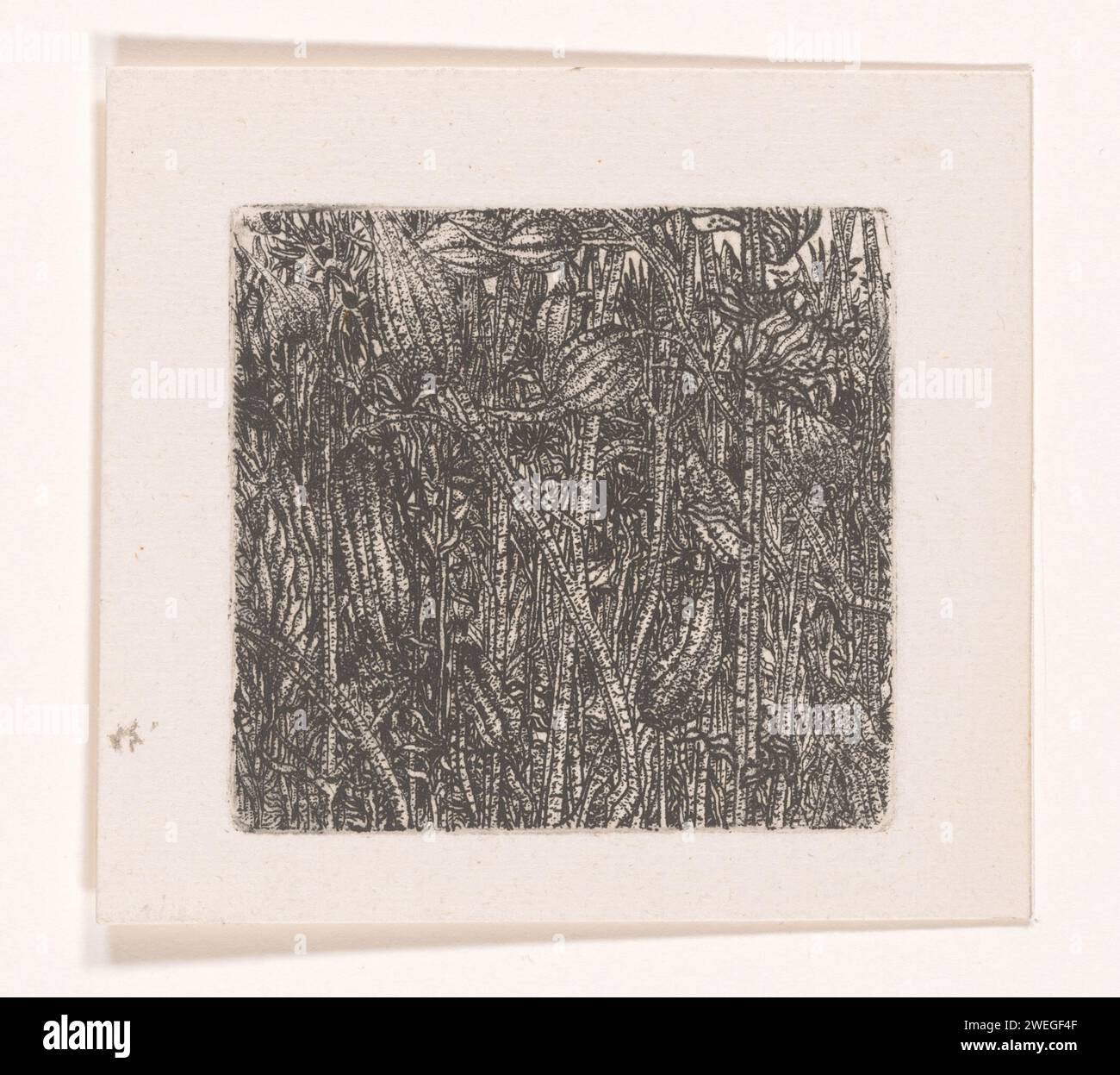 Weeds, Kees Stoop, 1944 - c. 1990 print Weed. paper etching / drypoint ...