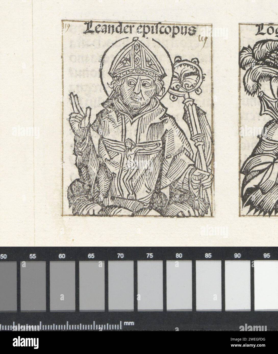 Leander van Sevilla, Michel Wolgemut (workshop of), 1493 print A flower ...