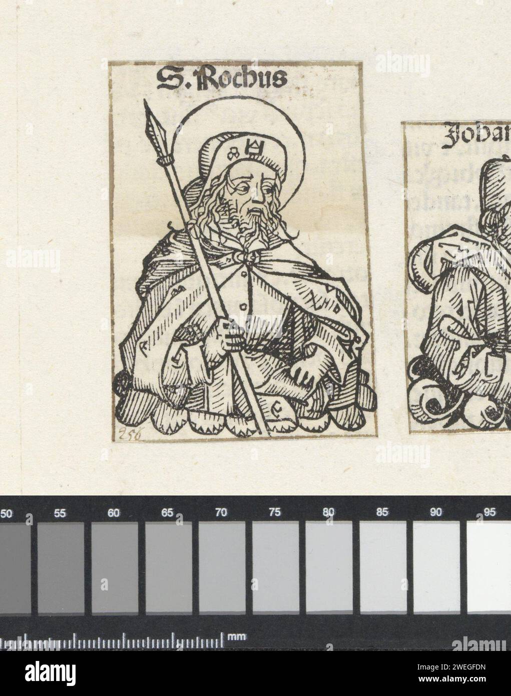 Saint Rochus, Michel Wolgemut (workshop of), 1493 print A flower ...