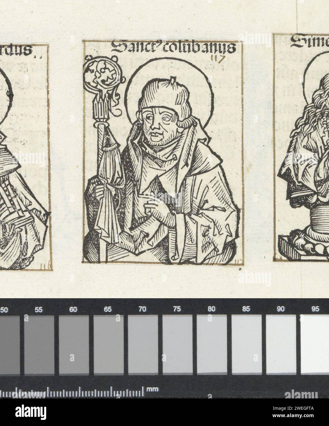 Saint Columbanus, Michel Wolgemut (workshop of), 1493 print A flower ...